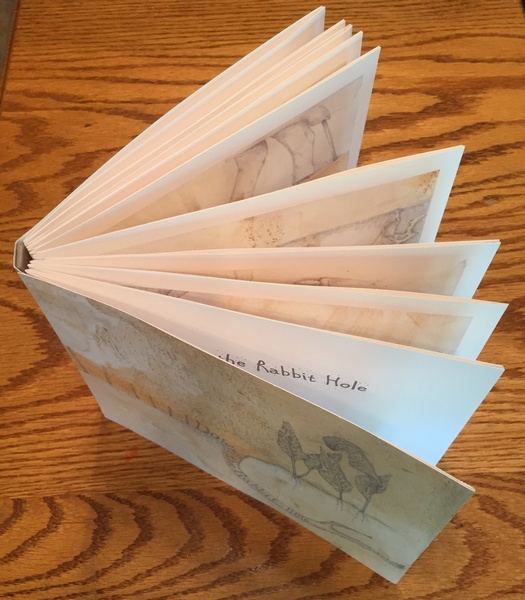 Finishing Up - well sort of - Down the Rabbit Hole - Sandy Webster