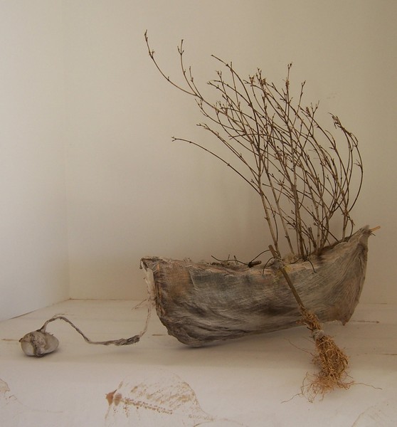 Thanksgiving Week - Sandy Webster