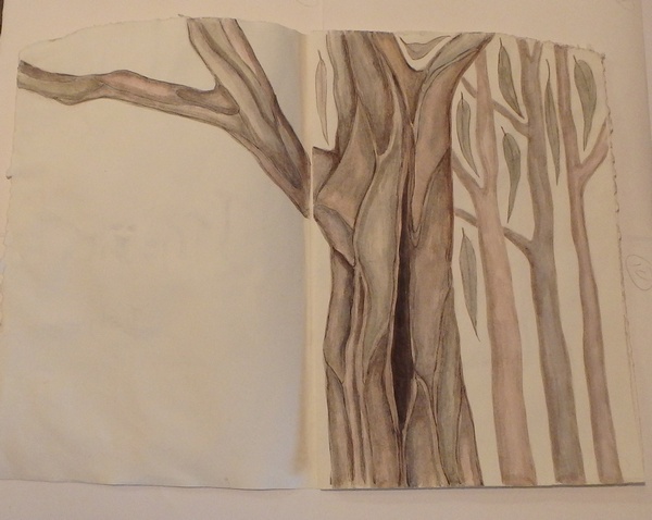 The Specimen Journal - Signature One - Sandy Webster