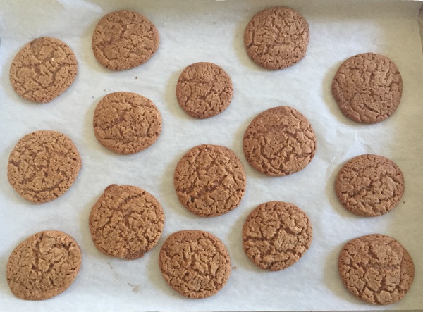 Studio and Cookie Update - Sandy Webster