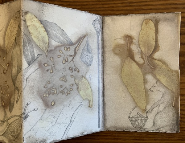 More Sketches and More Stoat Story - Sandy Webster