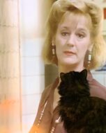 Sandy Webster, Artist - Blog