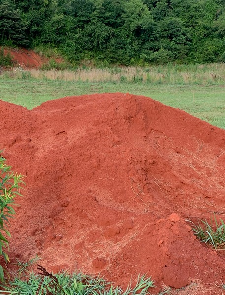 Sandy Webster, Artist - Blog