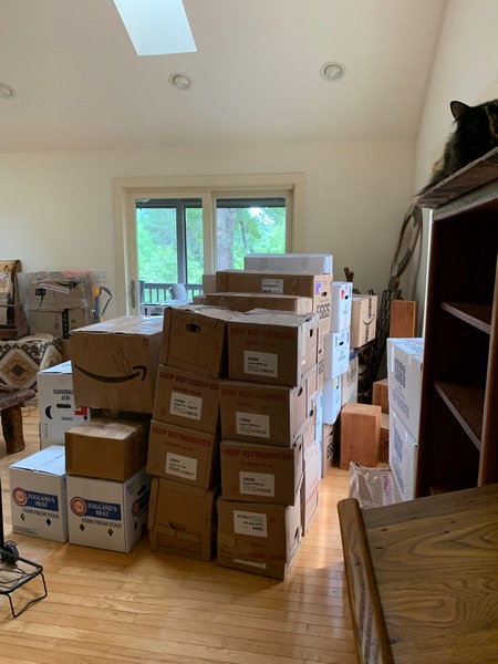 Sandy Webster, Artist - Blog