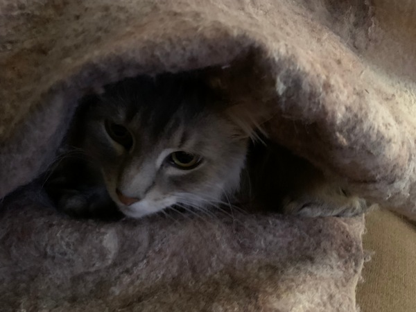 Turning Cooler - Sandy Webster