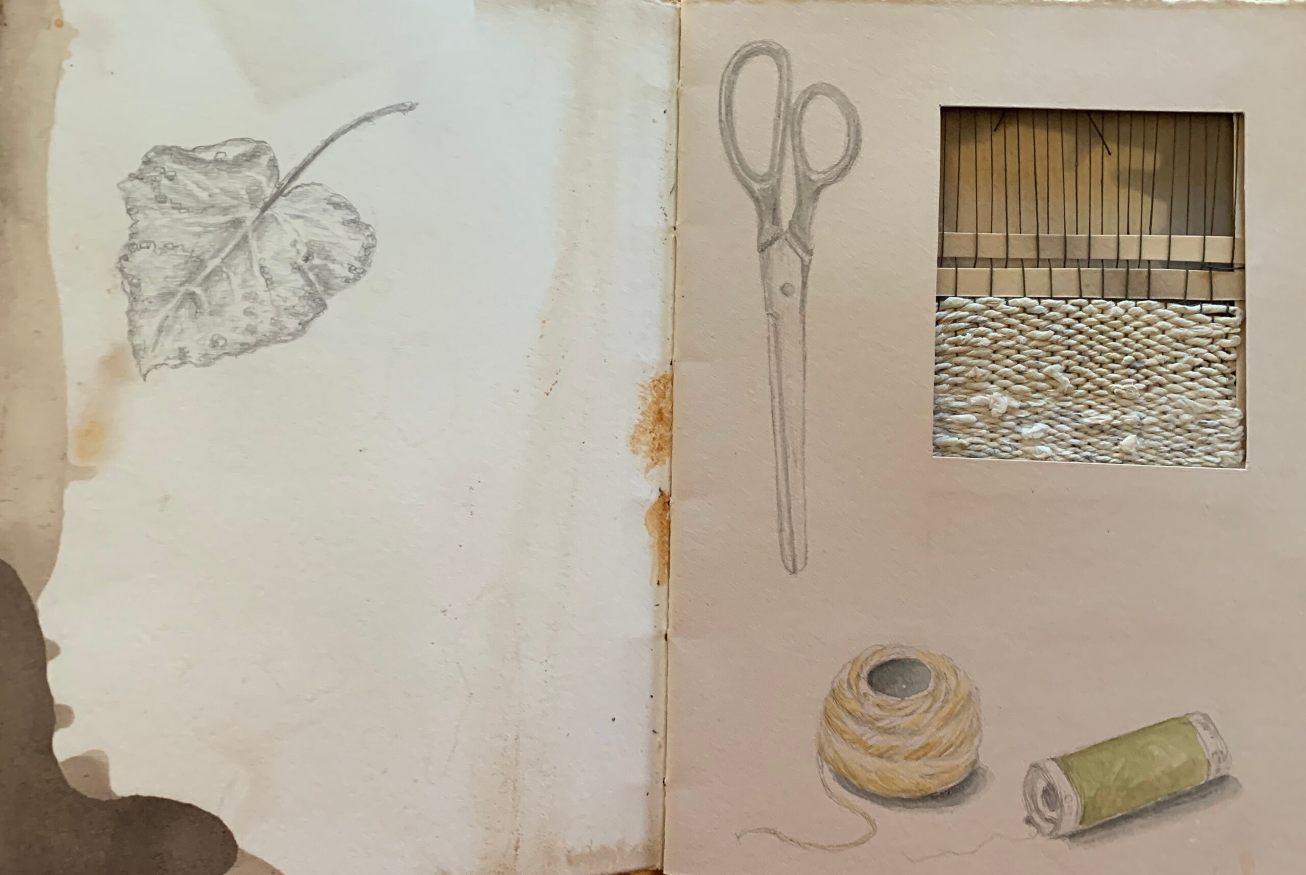 Artist Gallery | Sandy Webster