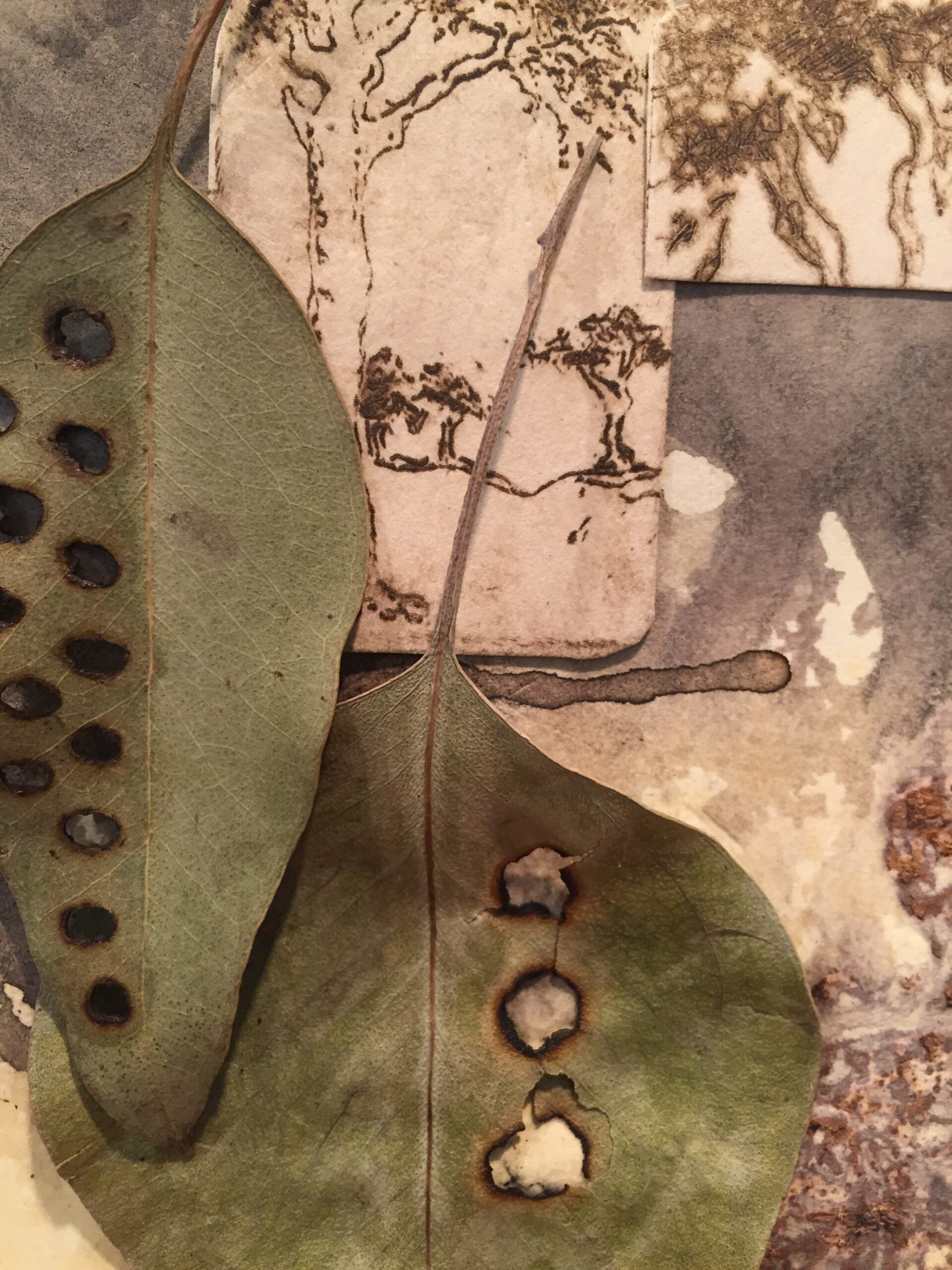 Artist Gallery | Sandy Webster
