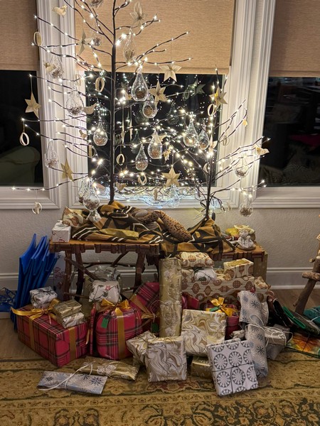 Christmas 2024 - Sandy Webster