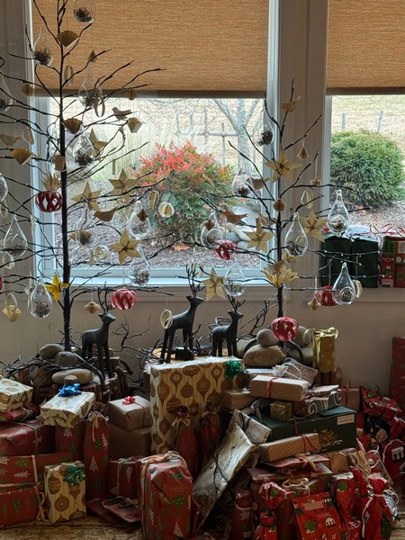 Holidays Over! - Sandy Webster